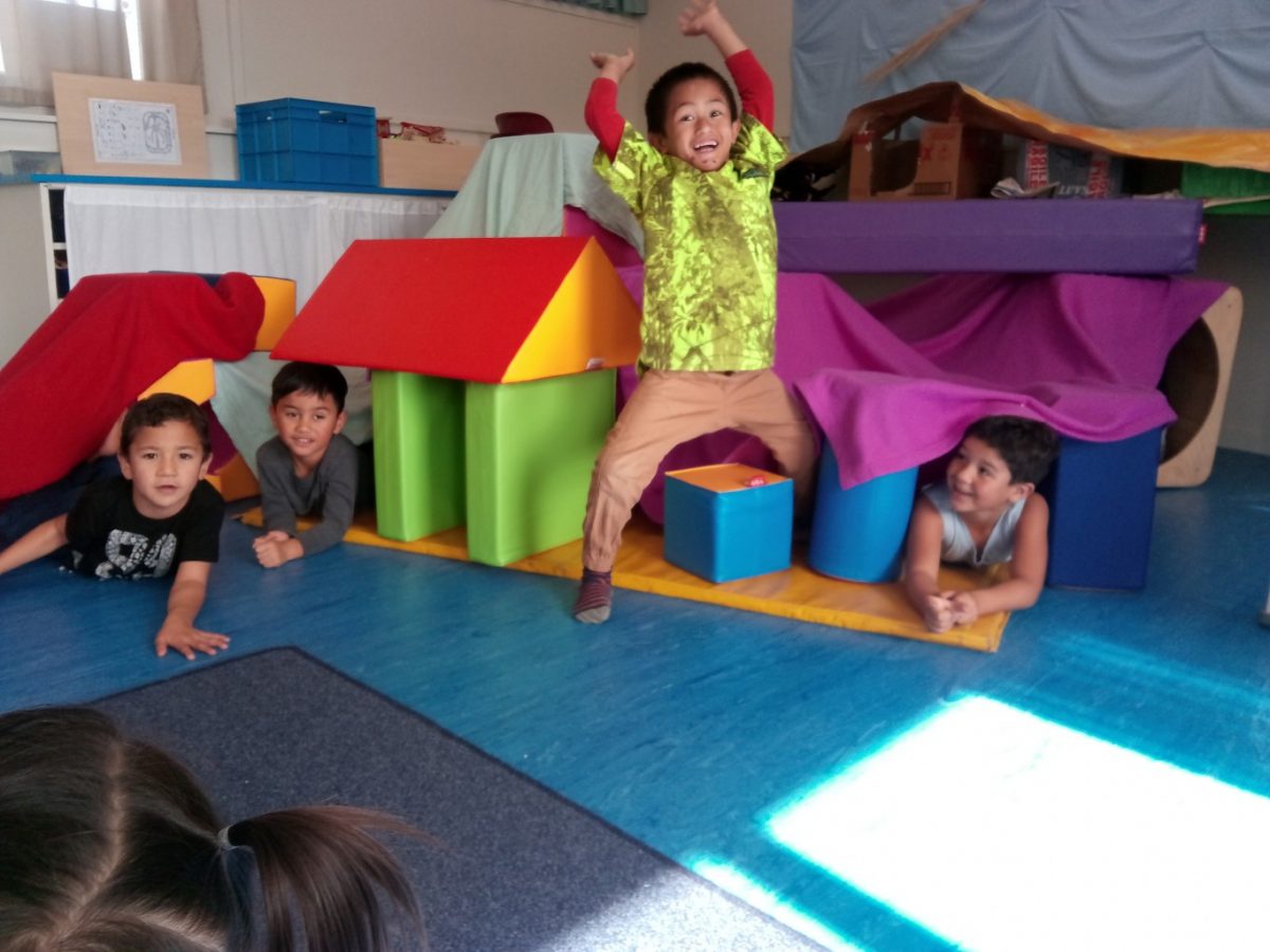 About Us – Te Manu Aute Trust