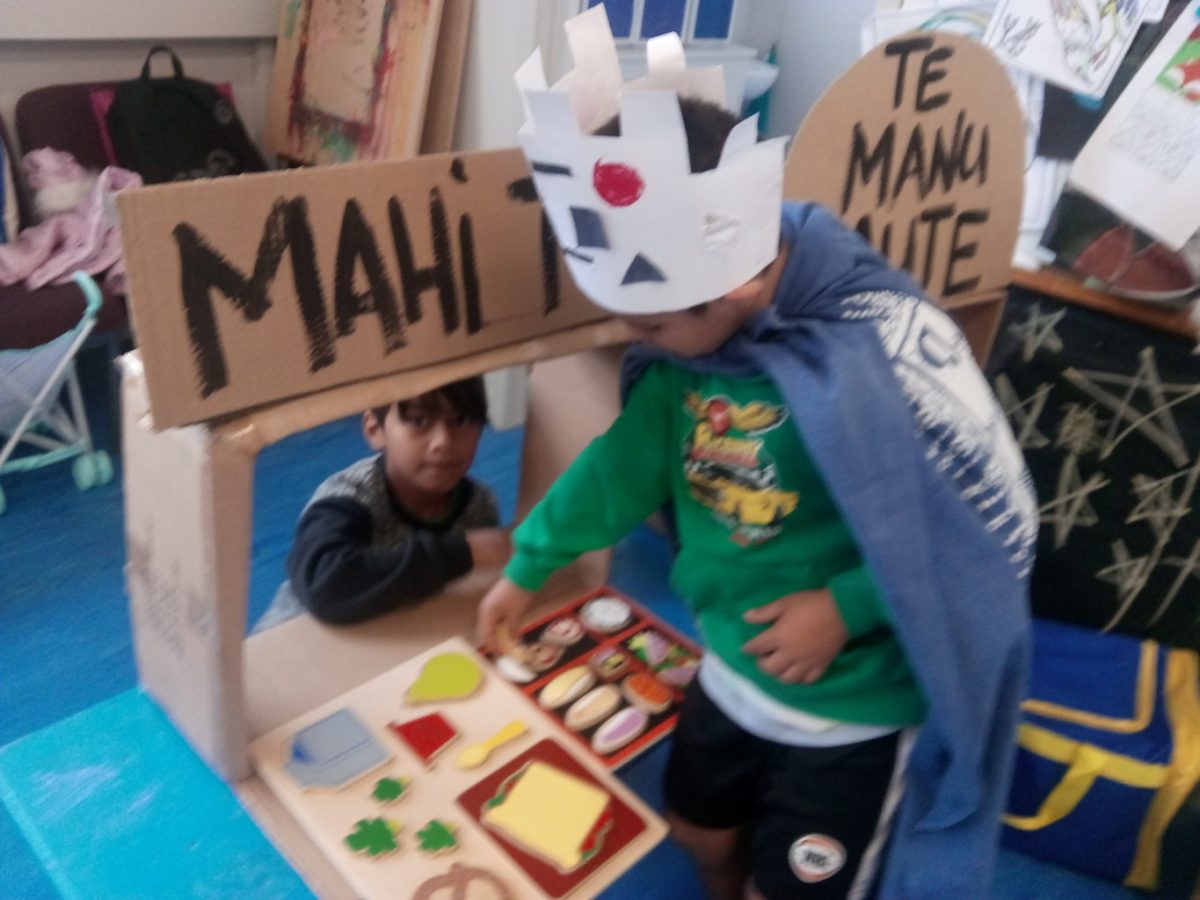 About Us – Te Manu Aute Trust